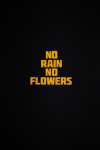 No Rain No Flowers Meaning: Understanding the Significance Behind the ...