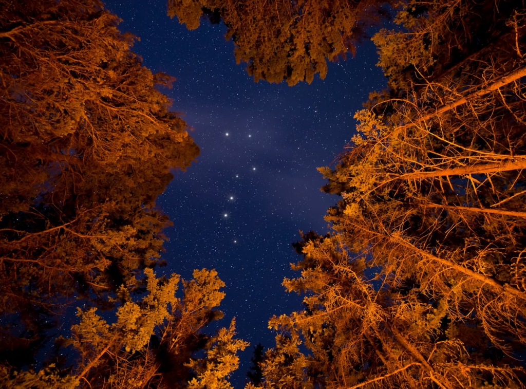 Beyond the Zodiac: Lesser-Known Constellations and Their Stories ...